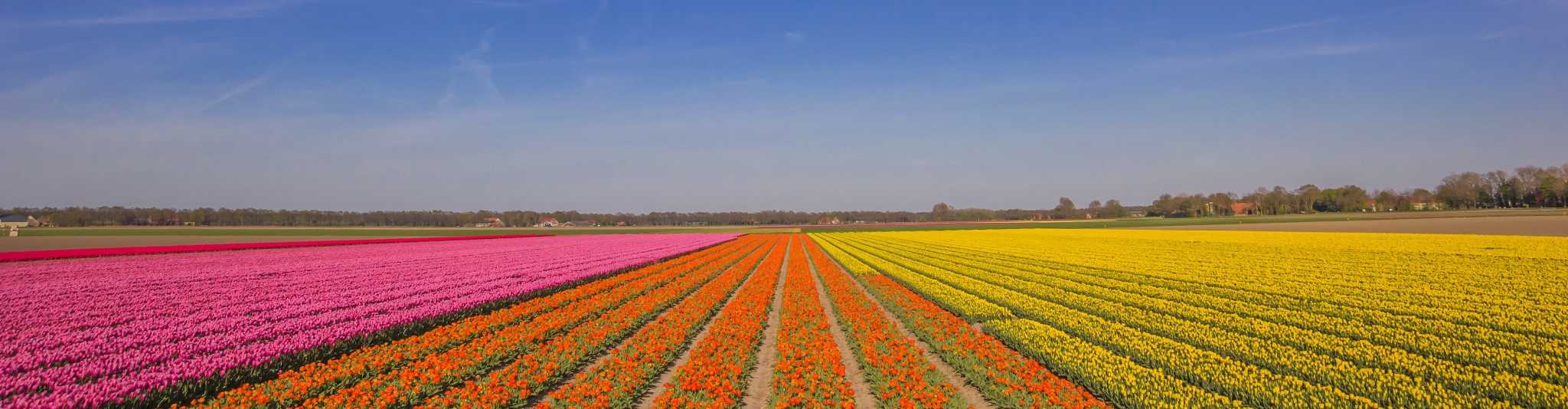 Campervan holiday in May. Why this is the perfect month to travel ...